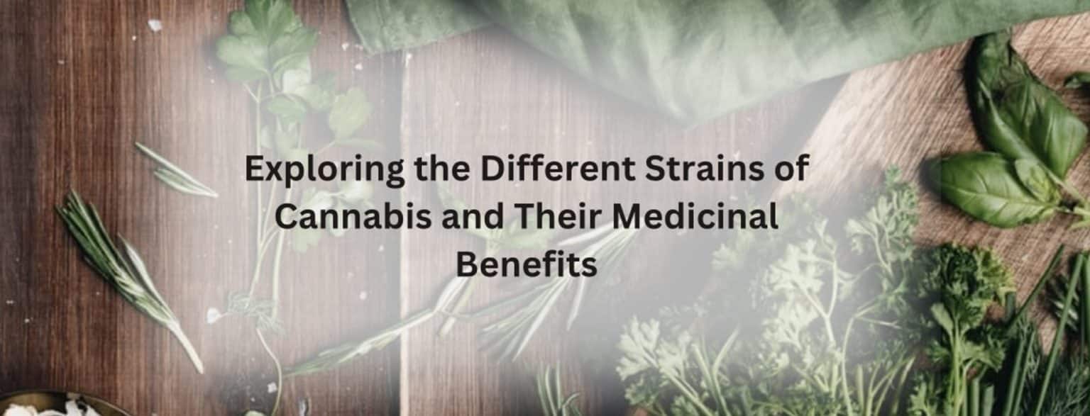 Exploring the Different Strains of Cannabis and Their Medicinal ...