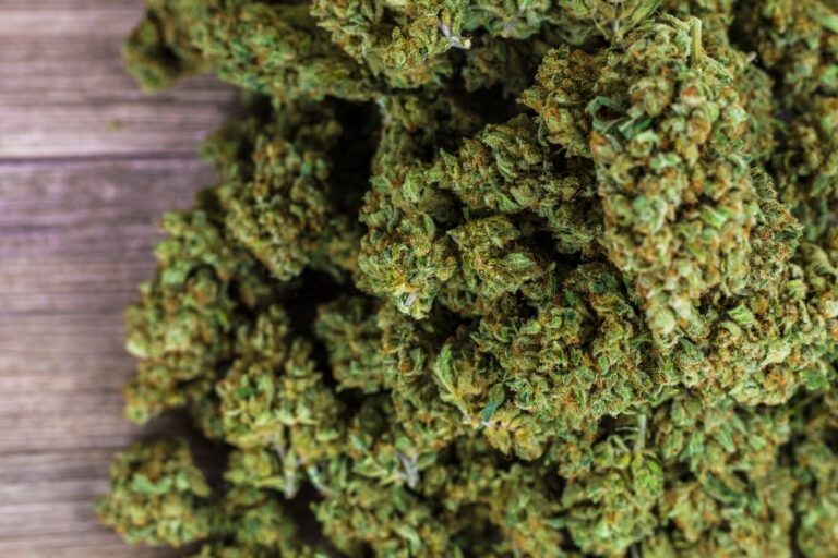 Exploring the Connection Between Cannabis Seed Breeders and Aging Well ...